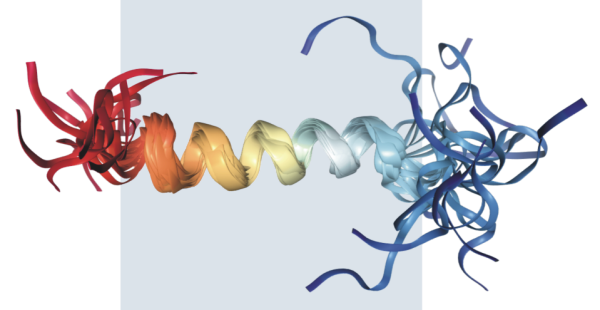 Small Proteins, Big Data - The European Peptide Society